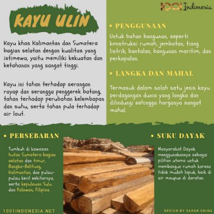 Kayu Ulin, Kayu Besi Khas Kalimantan yang Semakin Langka