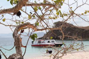 Pantai Merah atau Pink Beach di Pulau Komodo, Nusa Tenggara Timur