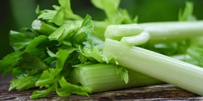 Beragam Bumbu Daun dalam Kuliner Nusantara