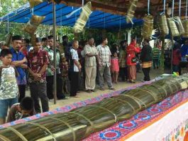 1001 Indonesia | Beauty, Diversity and Harmony